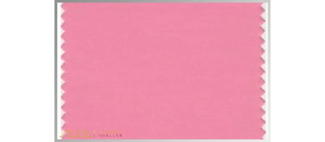 Farbmuster Conch-Shell