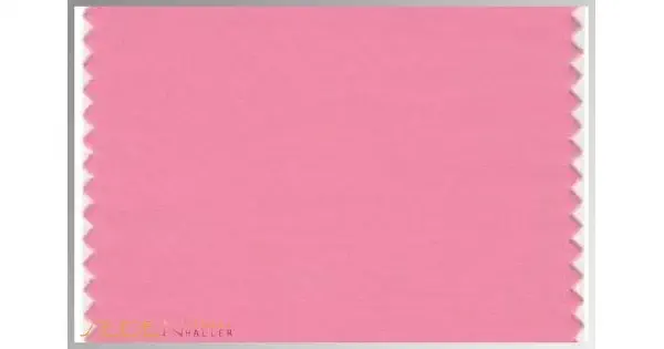 Farbmuster Conch-Shell